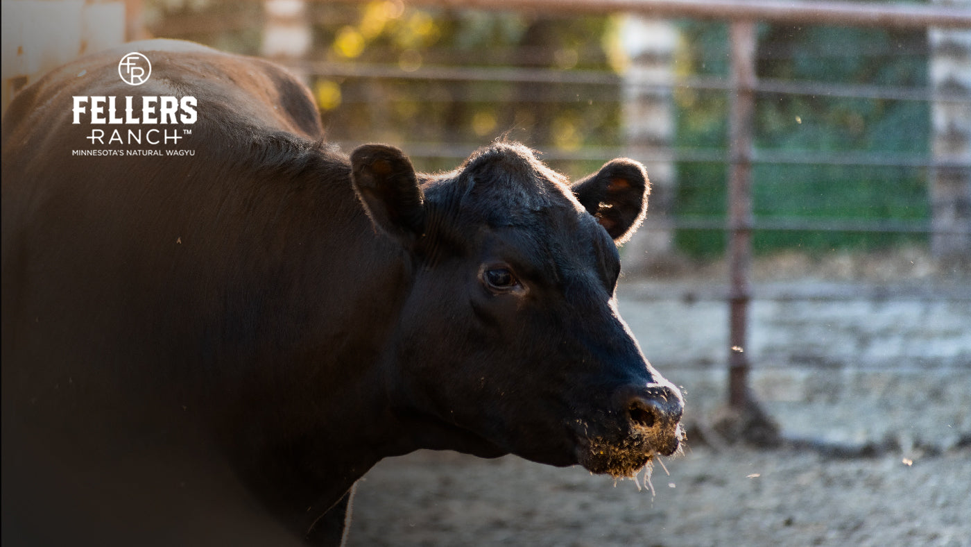 History of Conger Meat Market | Fellers Ranch