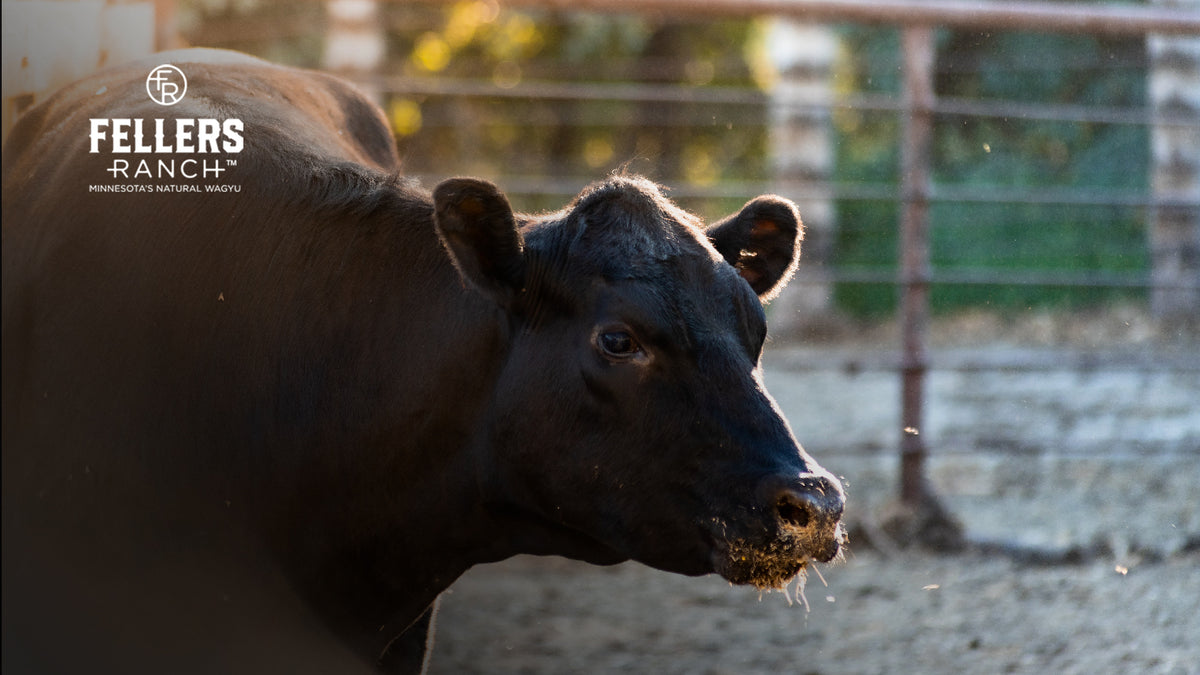 History of Conger Meat Market | Fellers Ranch