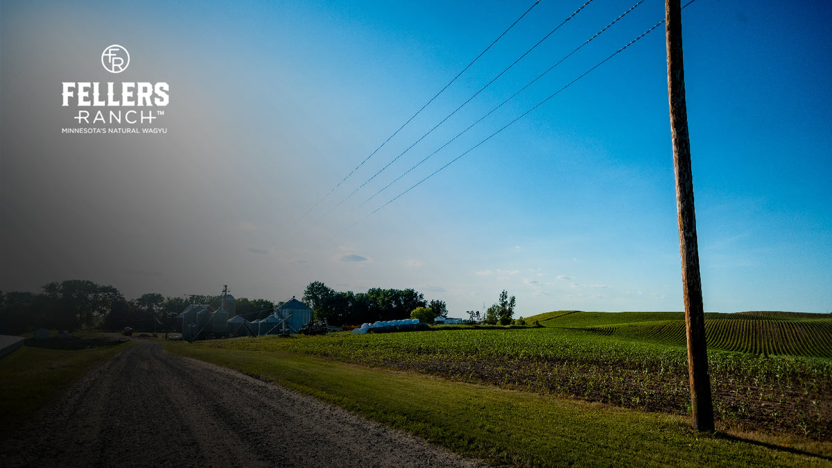 Fellers Ranch Serves Growing Niche Wagyu Beef Market